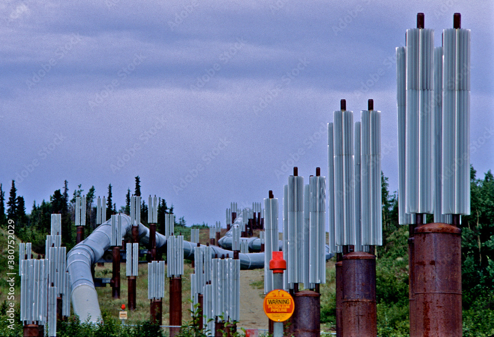 Foto de Cooling fins keep permafrost intact. Hot oil in pipes would ...