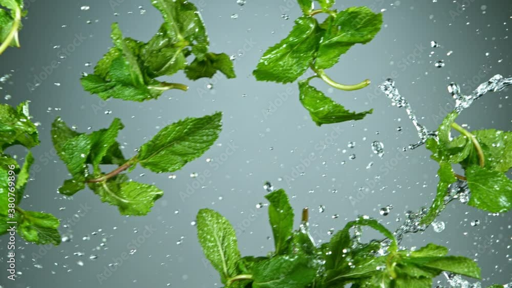 Super slow motion of flying mint leaves. FIlmed on high speed cinema ...