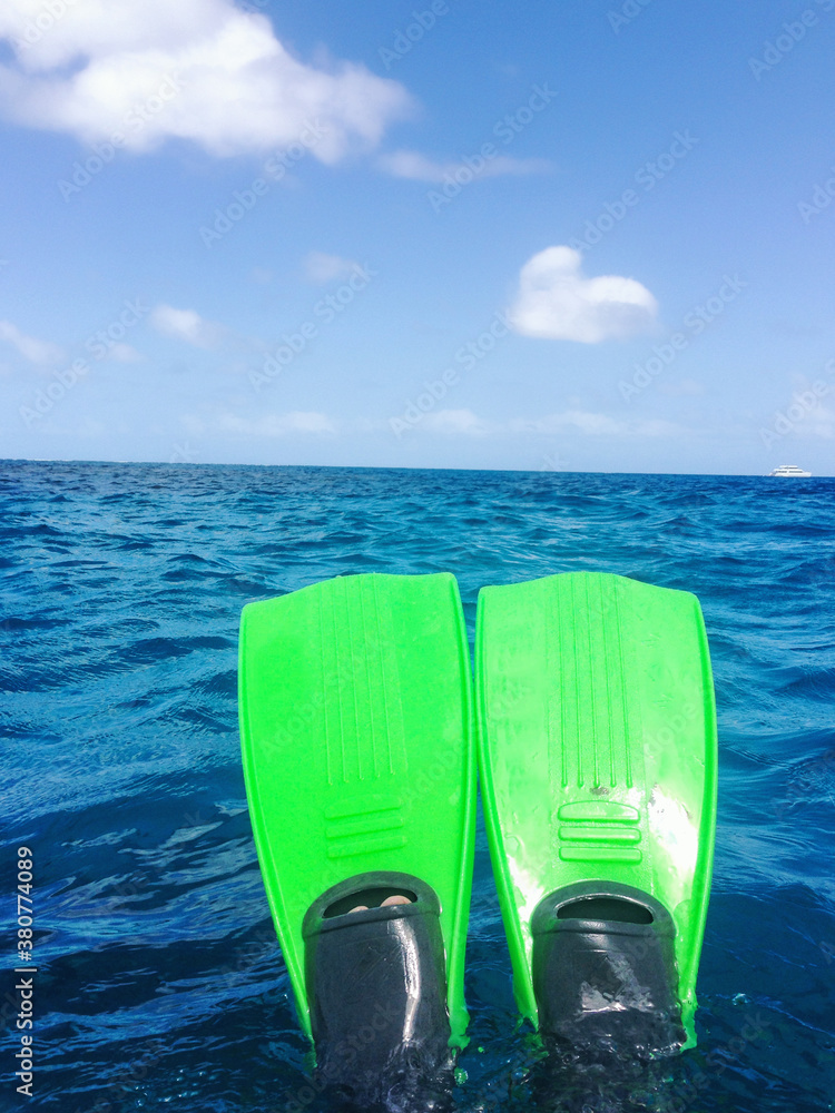 snorkeling on the great barrier reef, australia, fins up Stock Photo ...