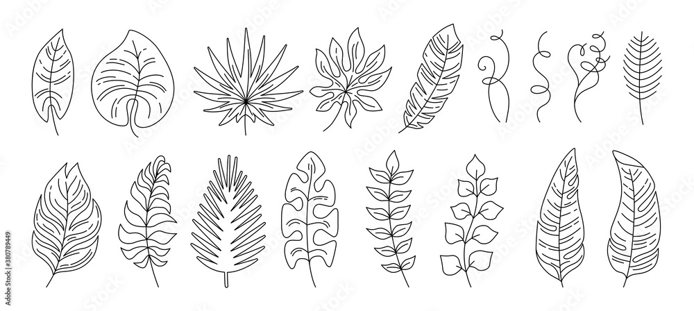 Tropical leaves line cartoon set. Exotic outline foliage, flat plants ...