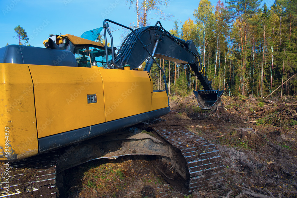 A large excavator works in the forest. Drainage of forest areas ...
