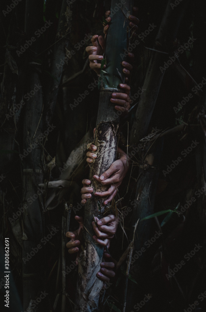 Too many spooky mysterious hands coming out from behind bamboo trees ...