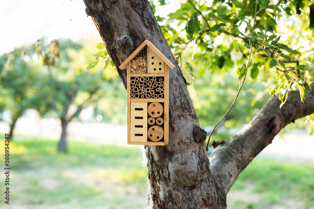 Decorative Insect house with compartments and natural components in a ...