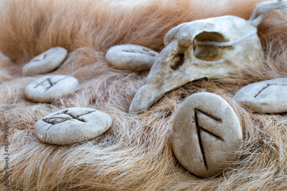 Stone Ansuz runes and bird skull on a animal fur. Futhark viking ...