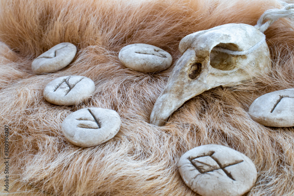 Stone runes and bird skull on a animal fur. Futhark viking alphabet ...