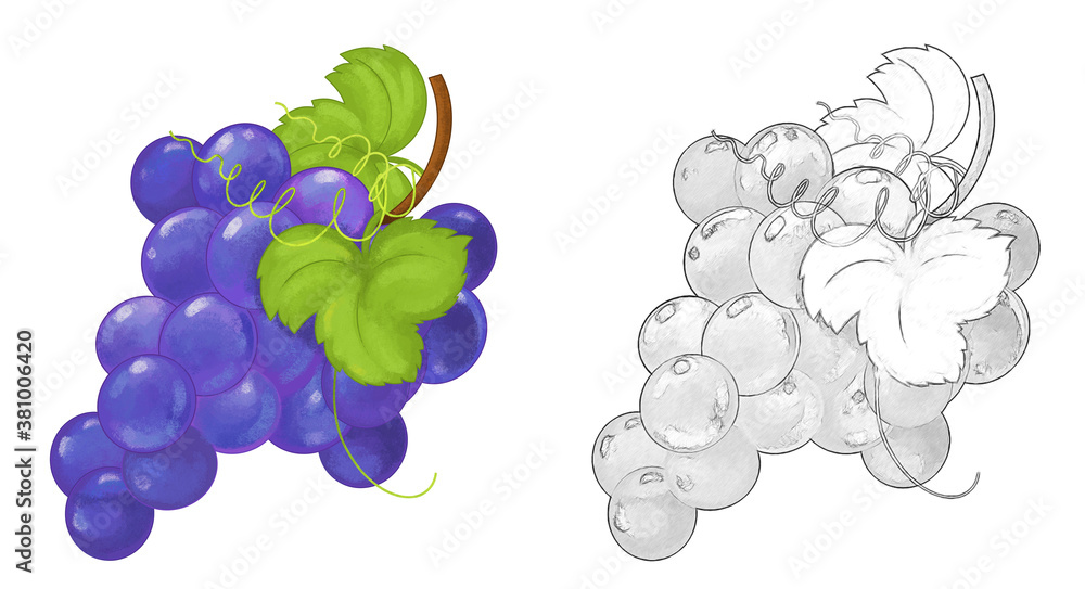 cartoon fruit grapes on white background - illustration Stock ...