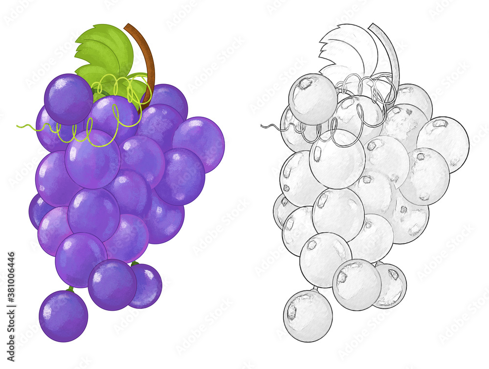 cartoon fruit grapes on white background - illustration Stock ...