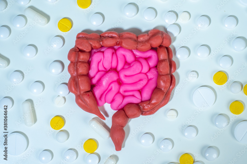 The human intestine is surrounded by tablets on a white background ...