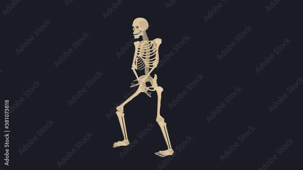 Skeleton. Animation of a human skeleton, alpha channel enabled. Cartoon ...