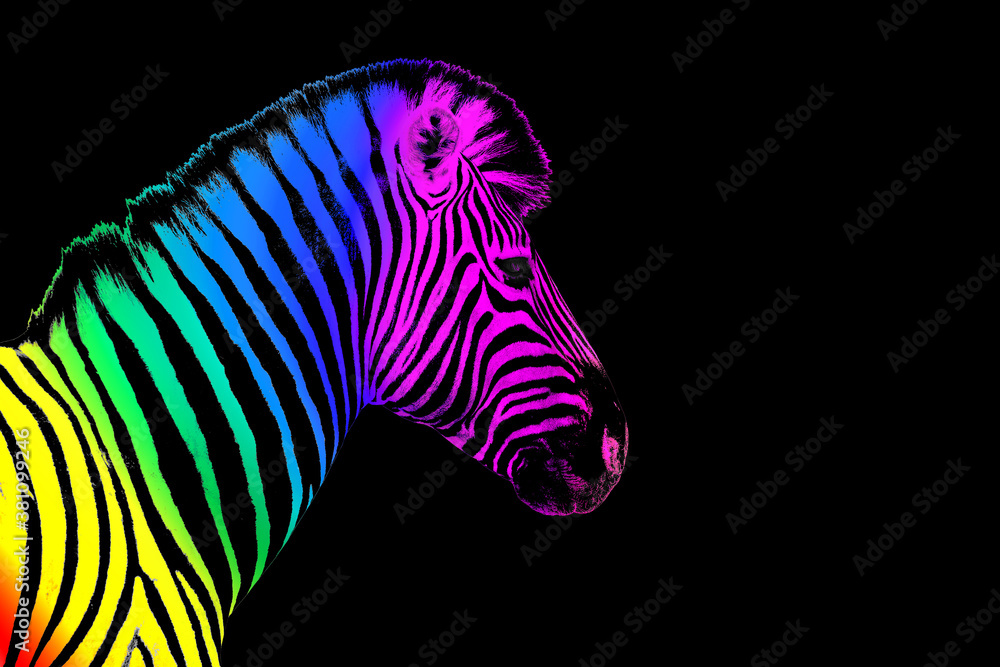 Rainbow Zebra Wallpapers