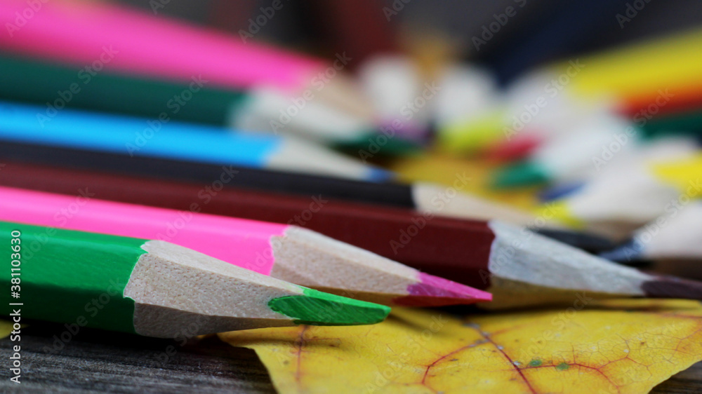 Colored pencils and autumn yellow leaves Stock Photo | Adobe Stock