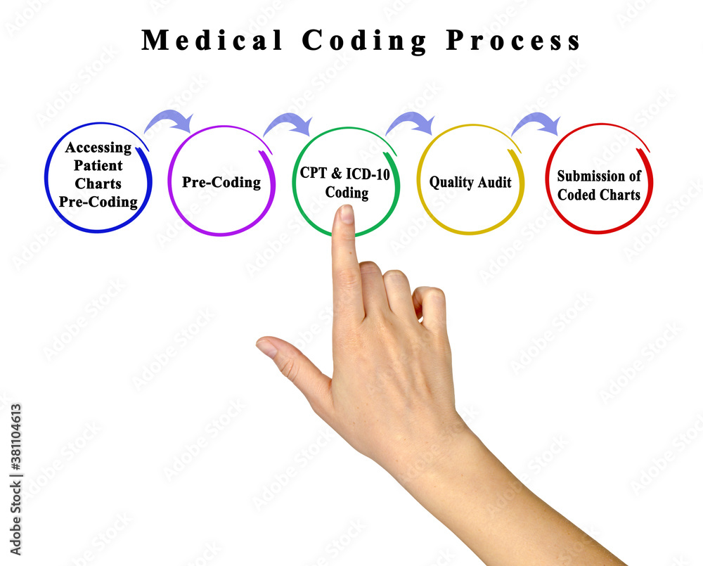 Components of Medical Coding Process Stock Photo | Adobe Stock