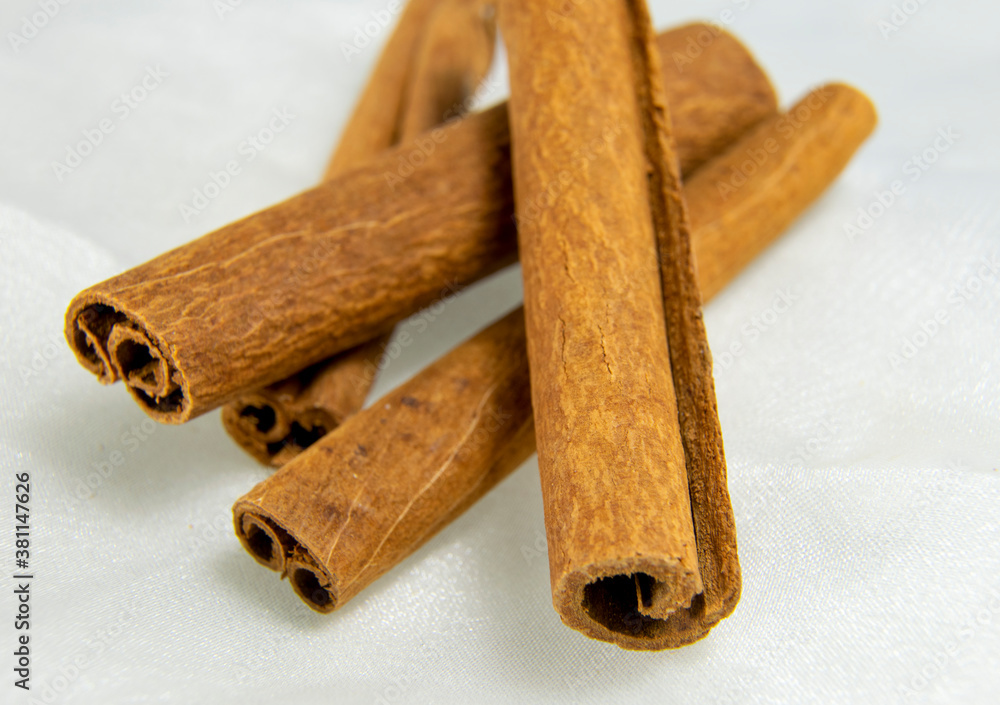 Popular condimento que se extrae de la corteza y se emplea como ...