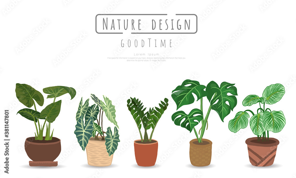 Plant vector set, Indoor and outdoor landscape garden potted plants ...