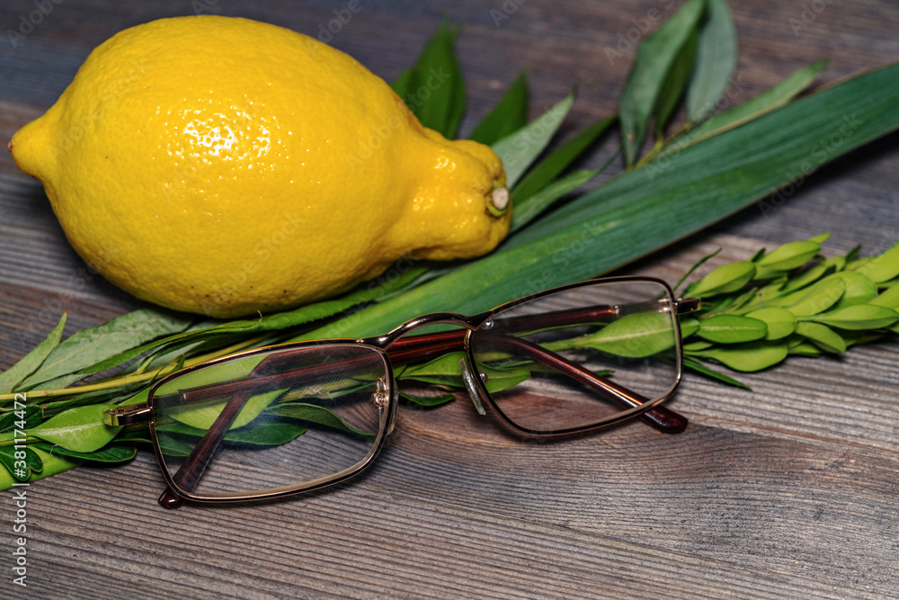 Symbols of jewish fall festival of Sukkot, lulav - etrog, palm branch ...