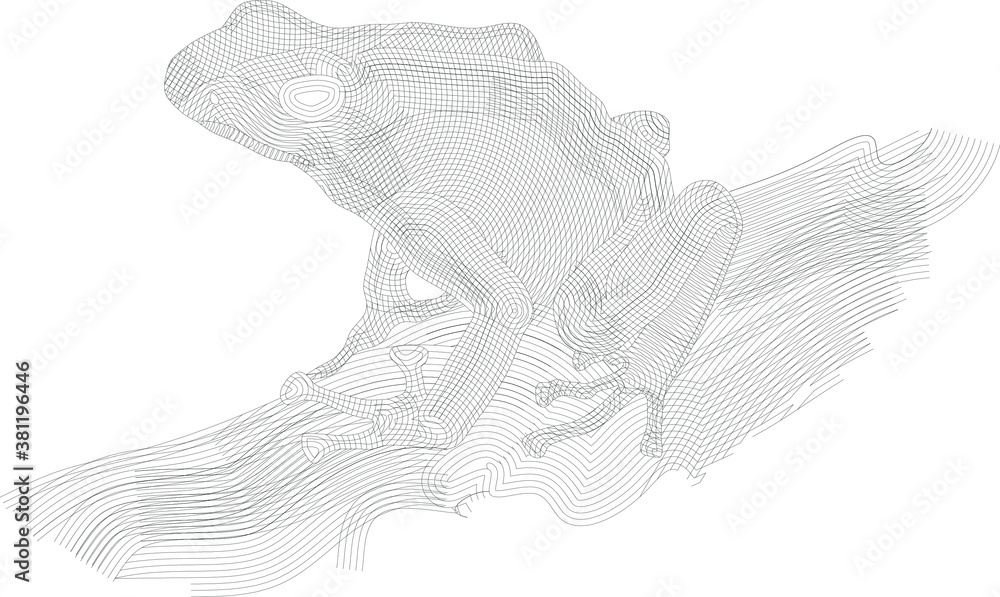 vector south america poison arrow frog, drawing in safety lines Stock ...