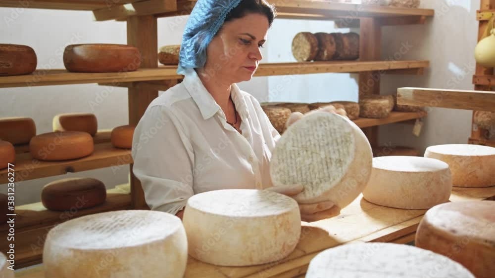 Female cheesemaker in white uniform and cap checking cheese quality ...