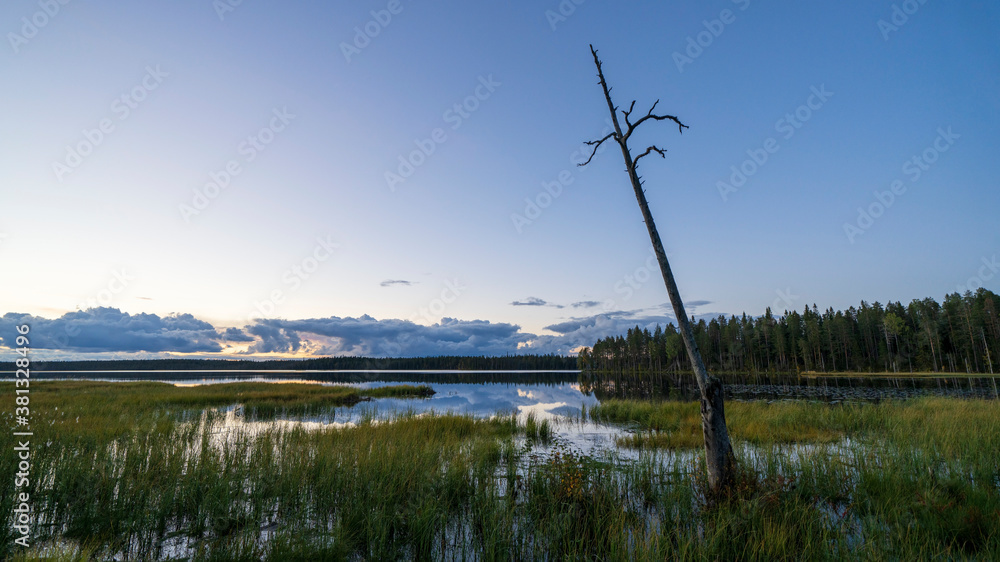 Lake in North Karelia wilderness of Finland. A vast network of well ...