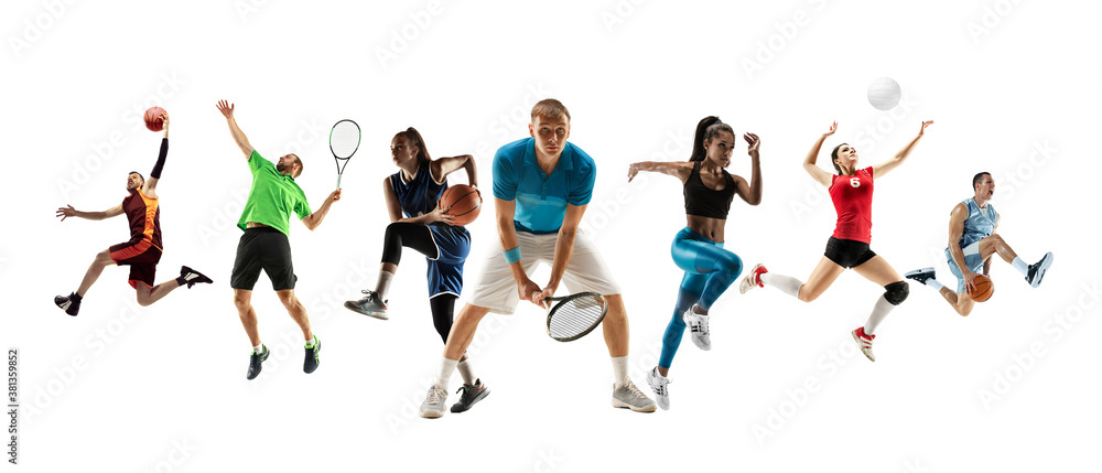 Collage of different professional sportsmen, fit men and women in ...