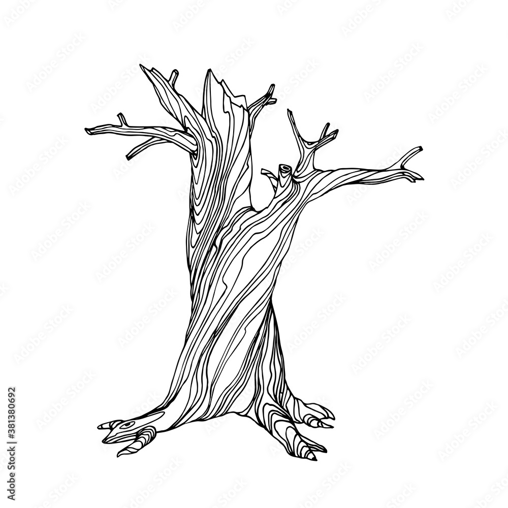 dry dead tree with lifeless branches the mystical character of ...