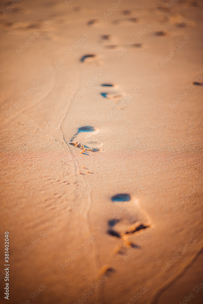 footprints in the sand on the beach. ocean shore with traces of walking ...