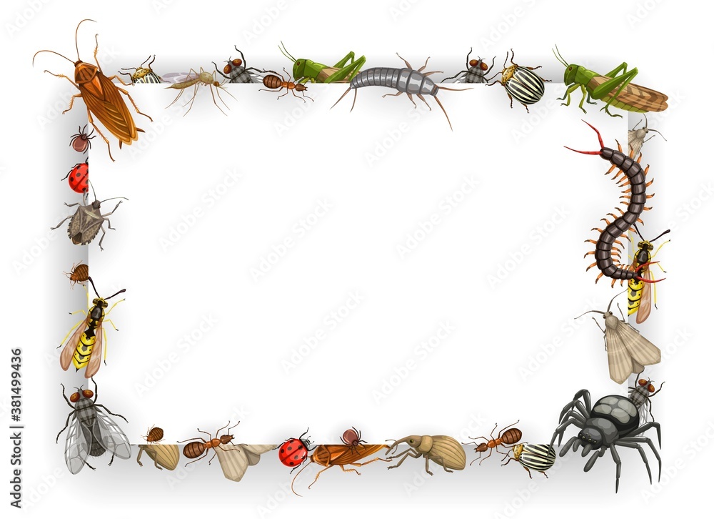 Frame with insects vector bedbug, flea and cockroach with ant, wasp ...