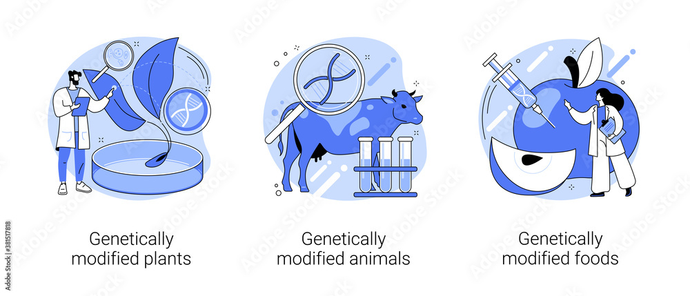 DNA engineering industry abstract concept vector illustration set. Genetically modified plants ...