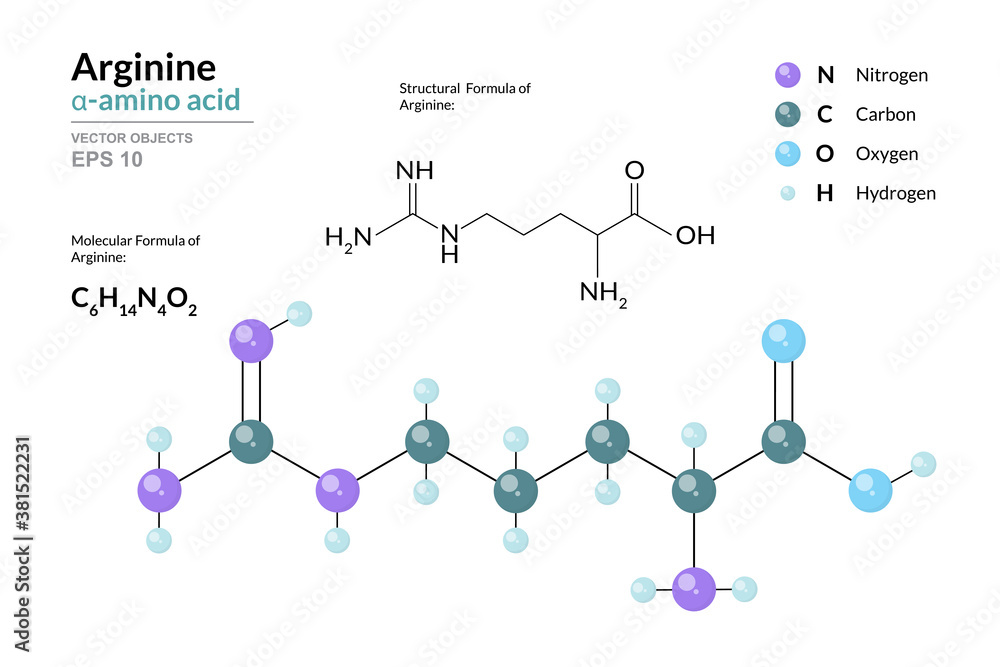 Arginine. Arg C6H14N4O2. α-Amino Acid. Structural Chemical Formula and ...