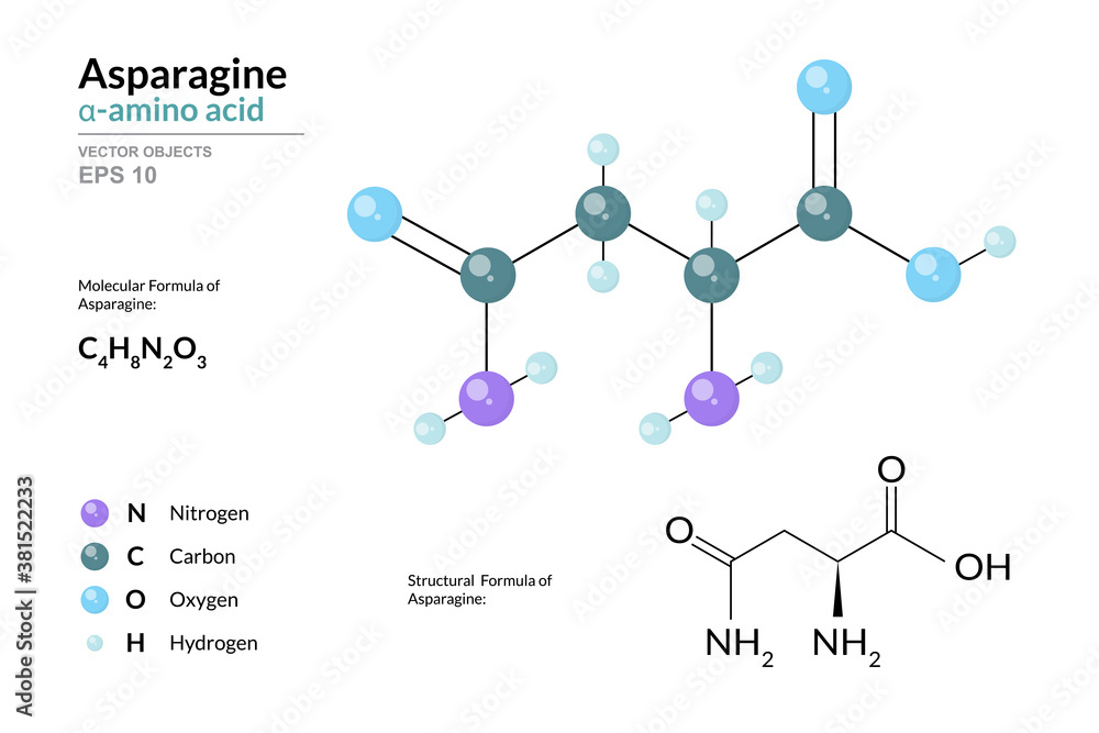 Asparagine. Asn C4H8N2O3. α-Amino Acid. Structural Chemical Formula and ...