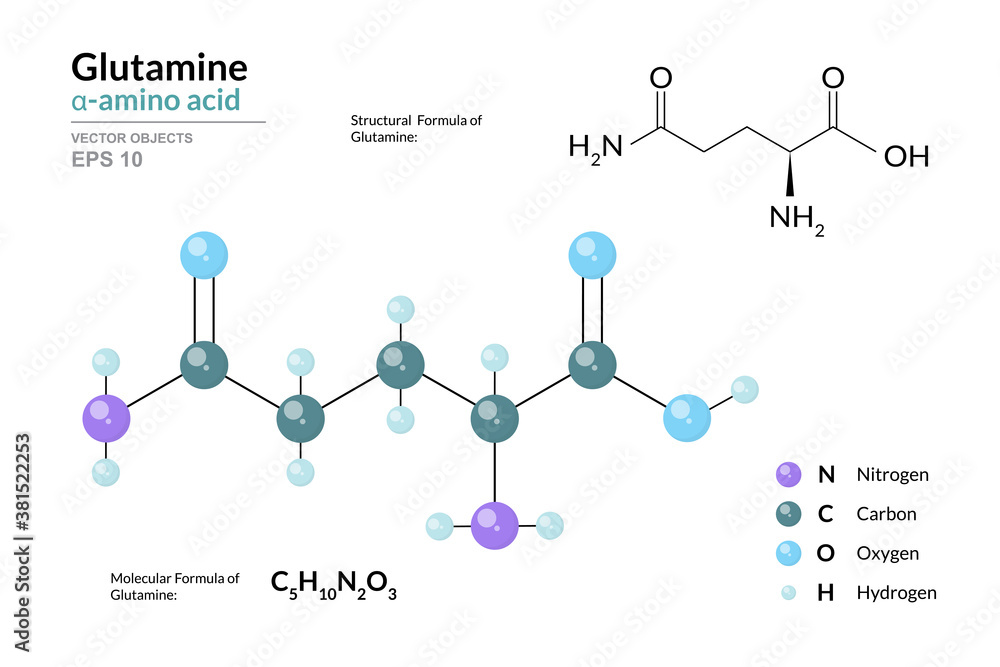 Glutamine. Gln C5H10N2O3. α-Amino Acid. Structural Chemical Formula and ...