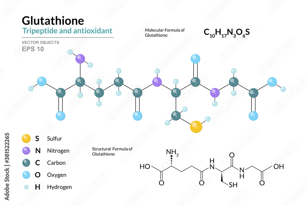 Plakat Glutathione. C10H17N3O6S. Tripeptide and Antioxidant. Structural ...