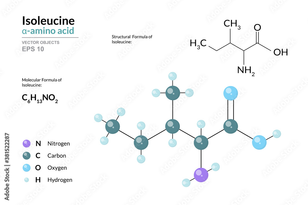 Isoleucine. Ile C6H13NO2. α-Amino Acid. Structural Chemical Formula and ...