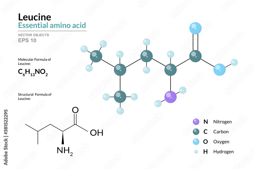 Leucine. Leu C6H13NO2. Essential Amino Acid. Structural Chemical ...