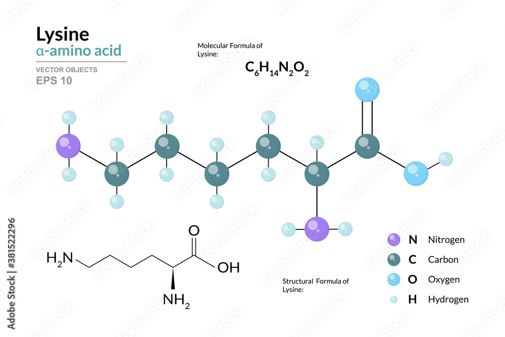 Lysine. Lys C6H14N2O2. α-Amino Acid. Structural Chemical Formula and ...