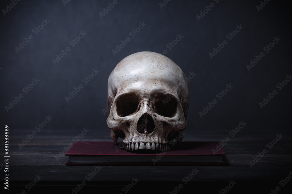 Still life of human skull that died for a long times ,concept of horror ...
