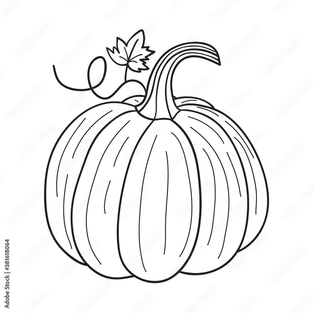 Pumpkin for coloring book. Line art design for kids coloring page ...