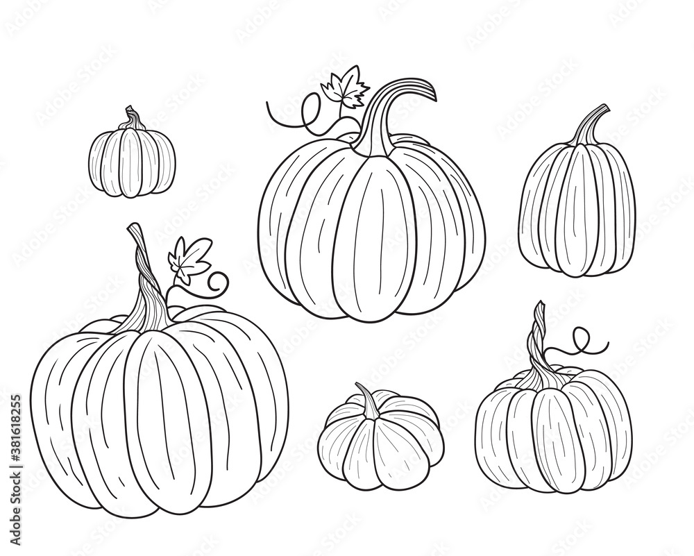 Pumpkin for coloring book. Line art design for kids coloring page ...