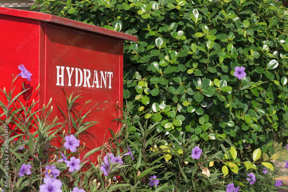 Fire hose box in a park of the public building area. Fire safety and ...