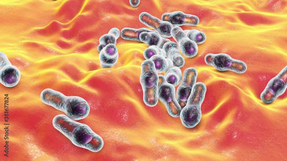 Spore-forming bacteria Clostridium, the causative agent of tetanus ...