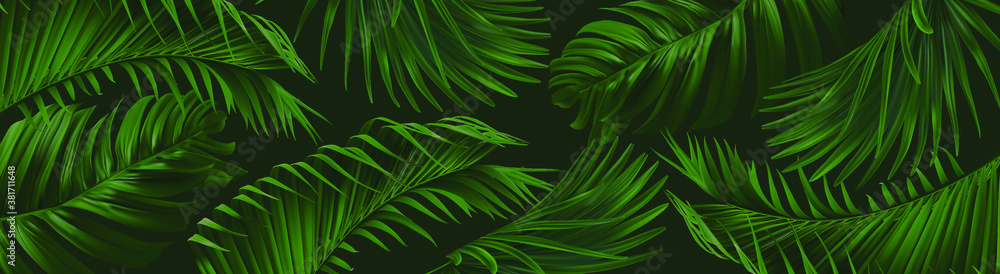 Dark Green Banner