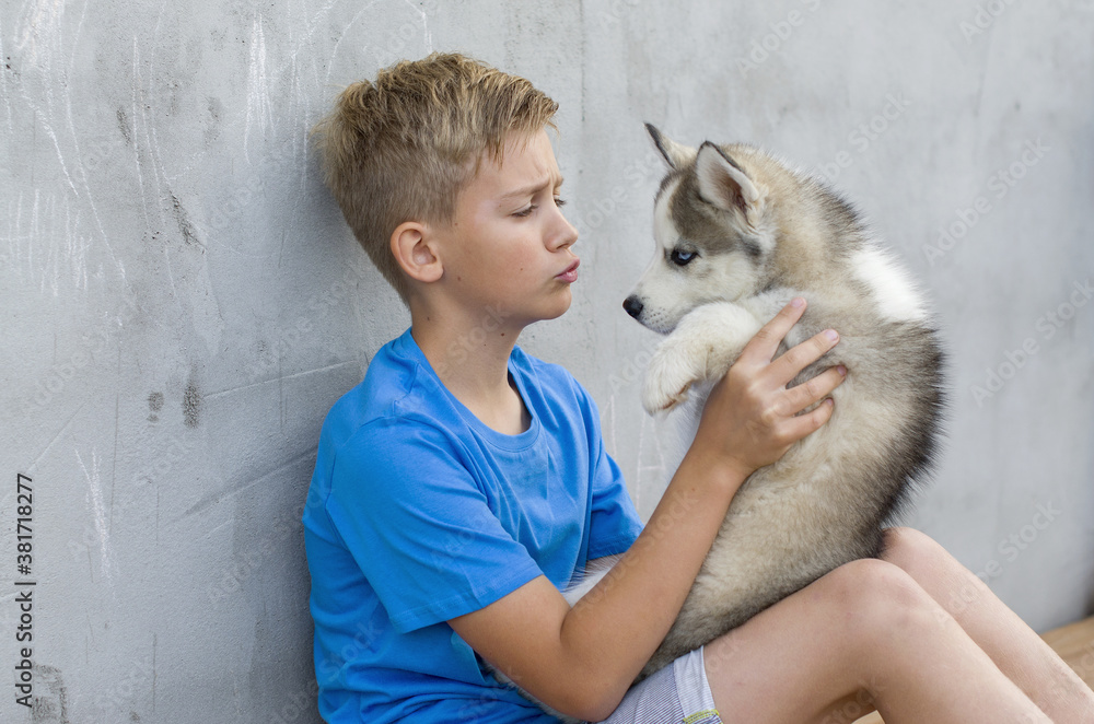 Dog owner petting and scratching his pet on a concrete background, a ...