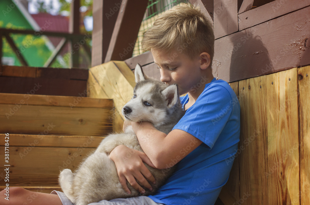 Dog owner petting and scratching his pet on the wooden background, a ...