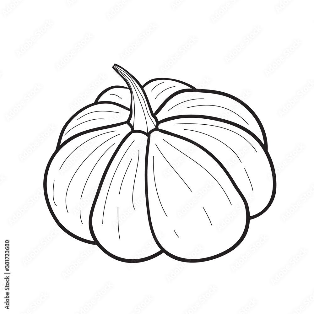 Pumpkin for coloring book. Line art design for kids coloring page ...