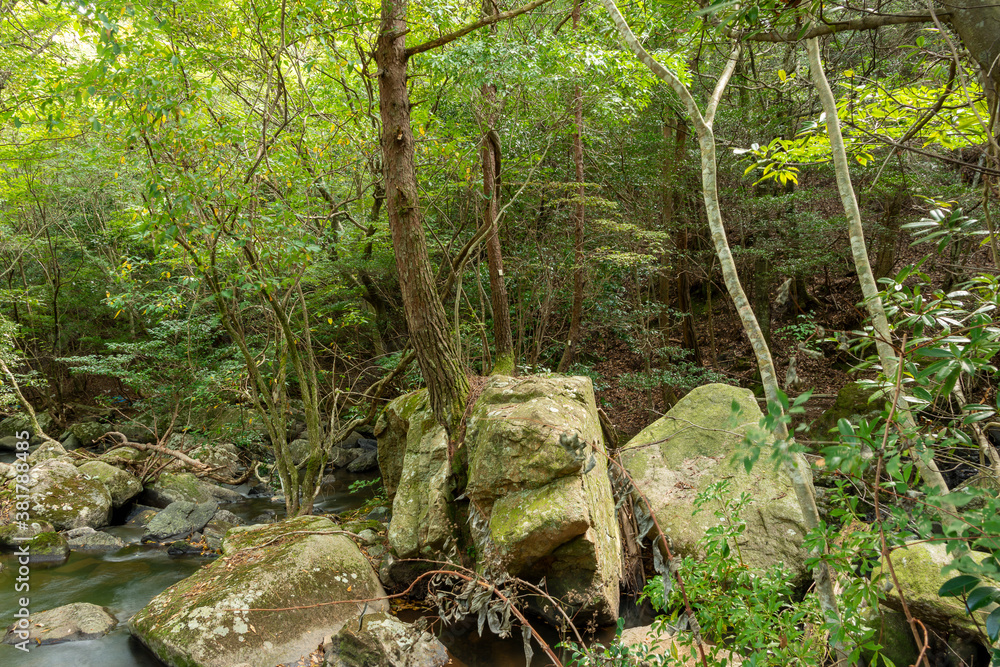 Water flow in Ruri valley in Sonobe, Nantan city, Kyoto, Japan in ...
