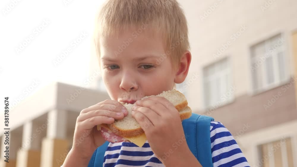 schoolboy eating a sandwich during recess in school. kids education ...