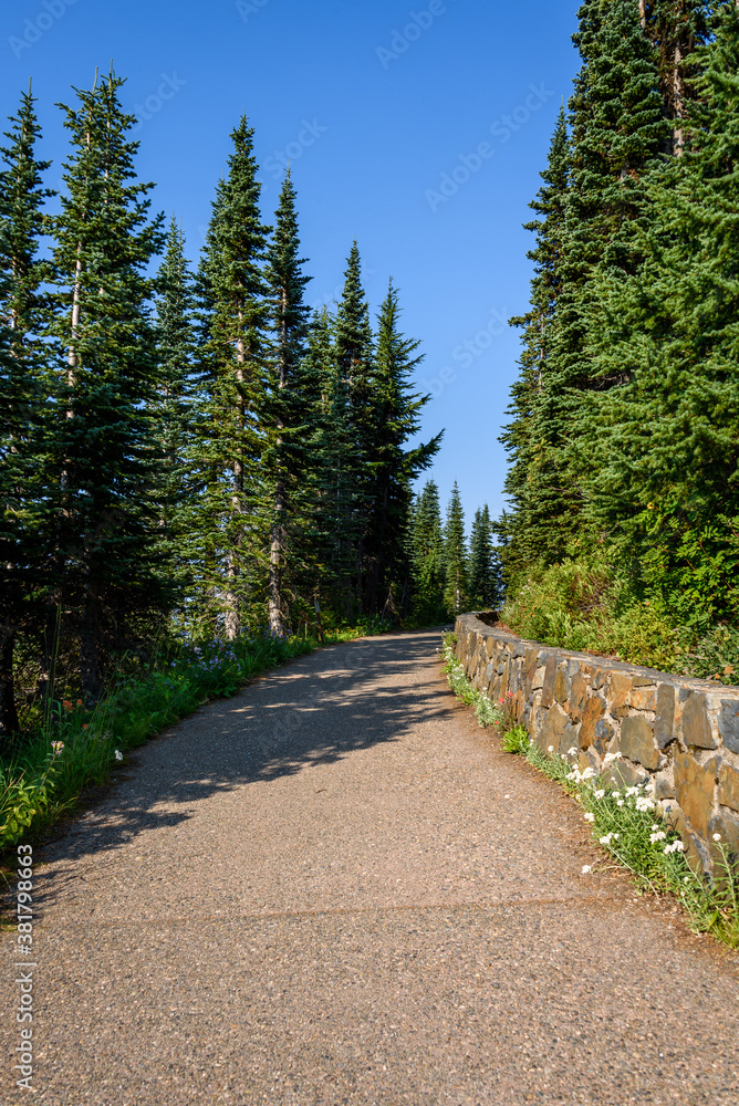 Wide aggregate walking path at Mt Rainier with stone wall evergreen ...