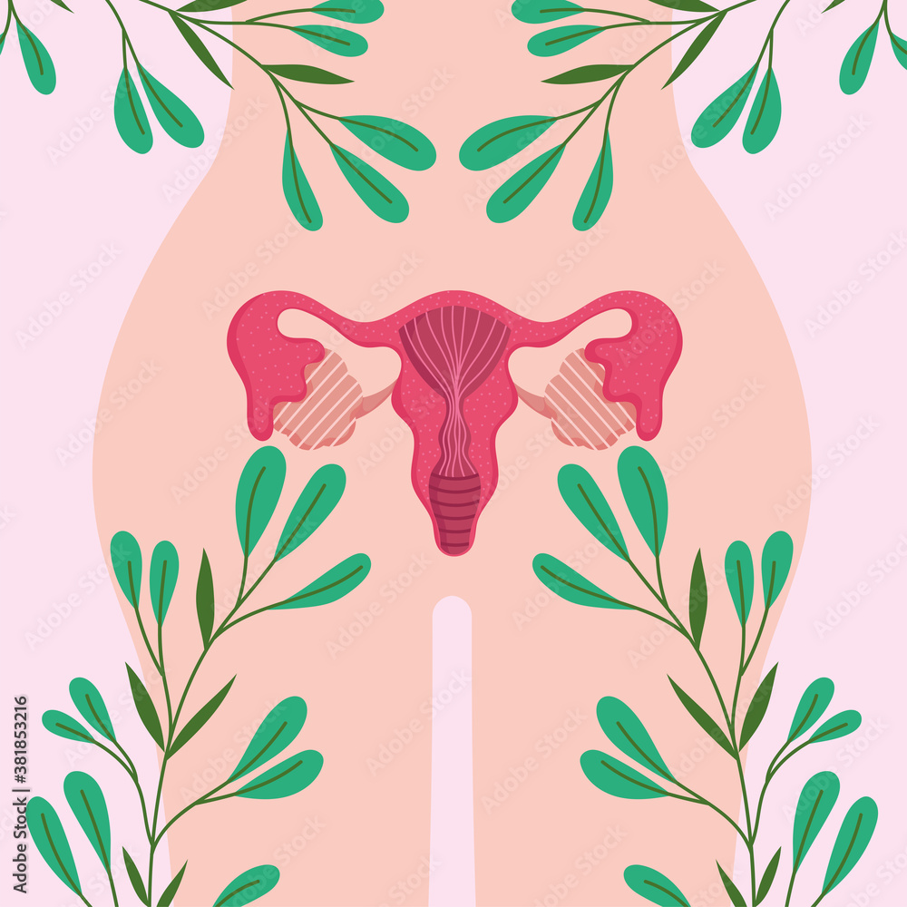 Female Human Reproductive System Women Body Biology Floral Decoration