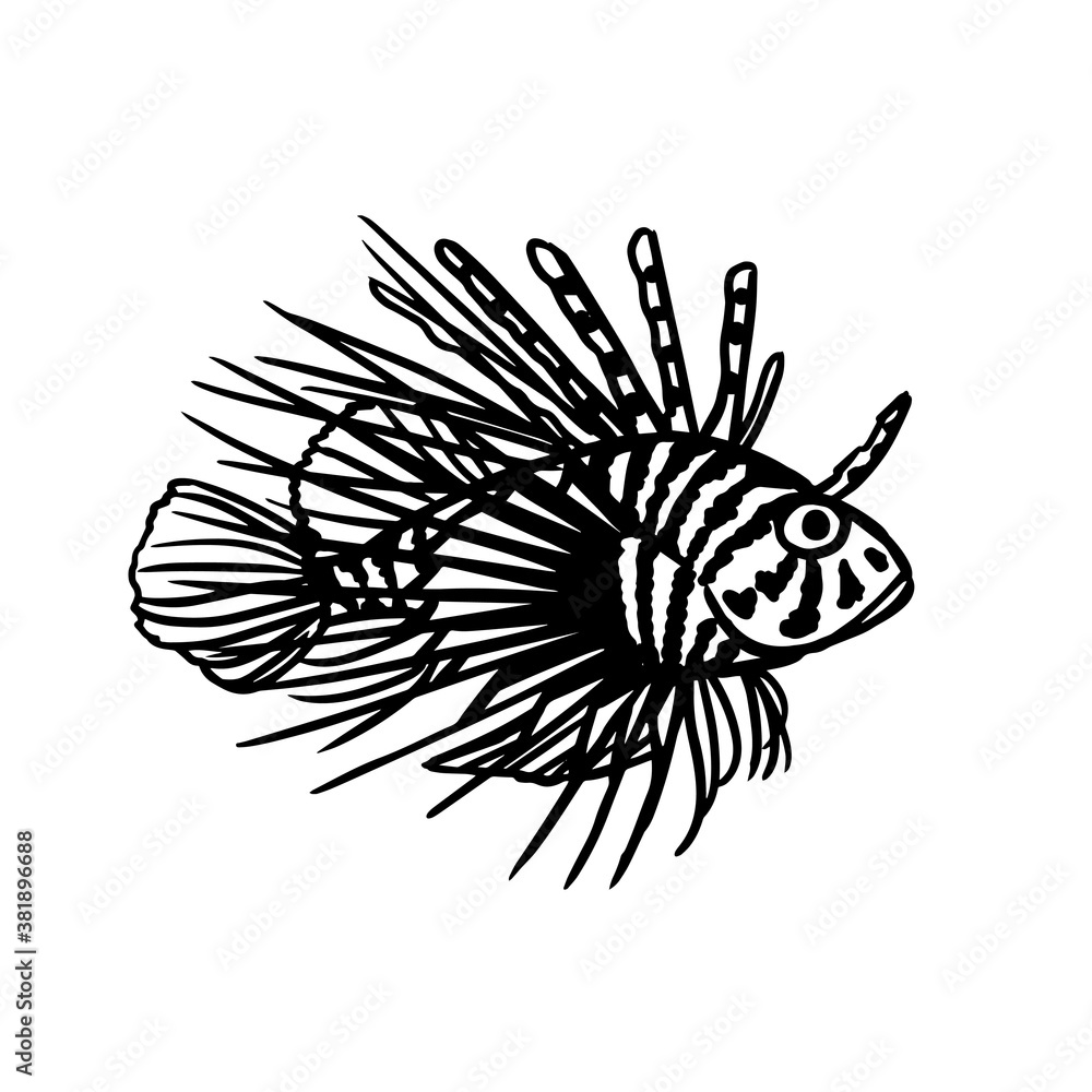 Fish sketch style. Sea animal lionfish vector vintage illustration ...