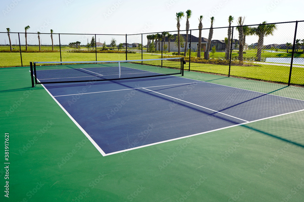 Blue and Green Pickleball court with blue sky and palm trees. Stock ...