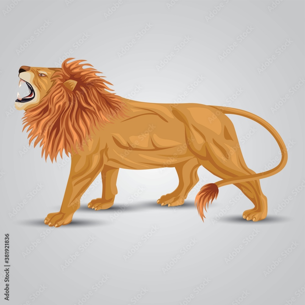 angry lion side view isolated white background. vector illustration ...